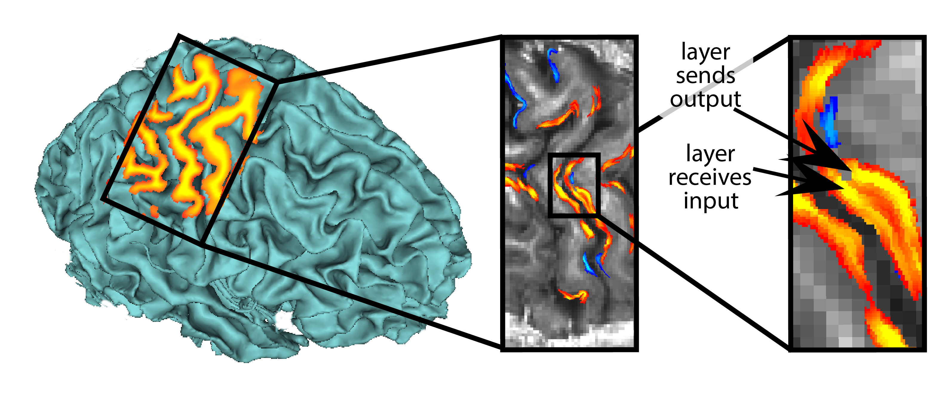 Projects | mr-methods.mbic